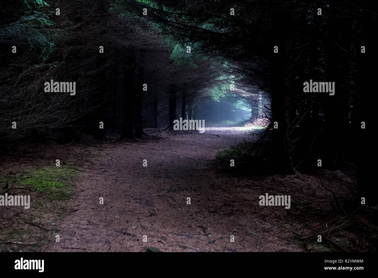 Mysterious spooky scottish hi-res stock photography and images - Alamy
