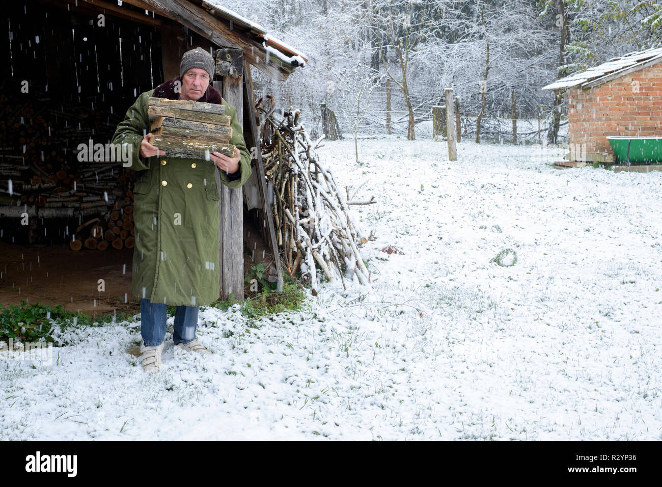 Man carrying firewood hi-res stock photography and images - Alamy