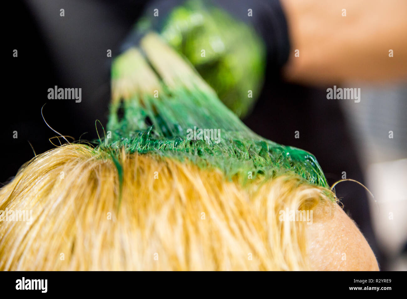 Professional hairdresser dyeing hair. Multicolor Fluorescent staining ...