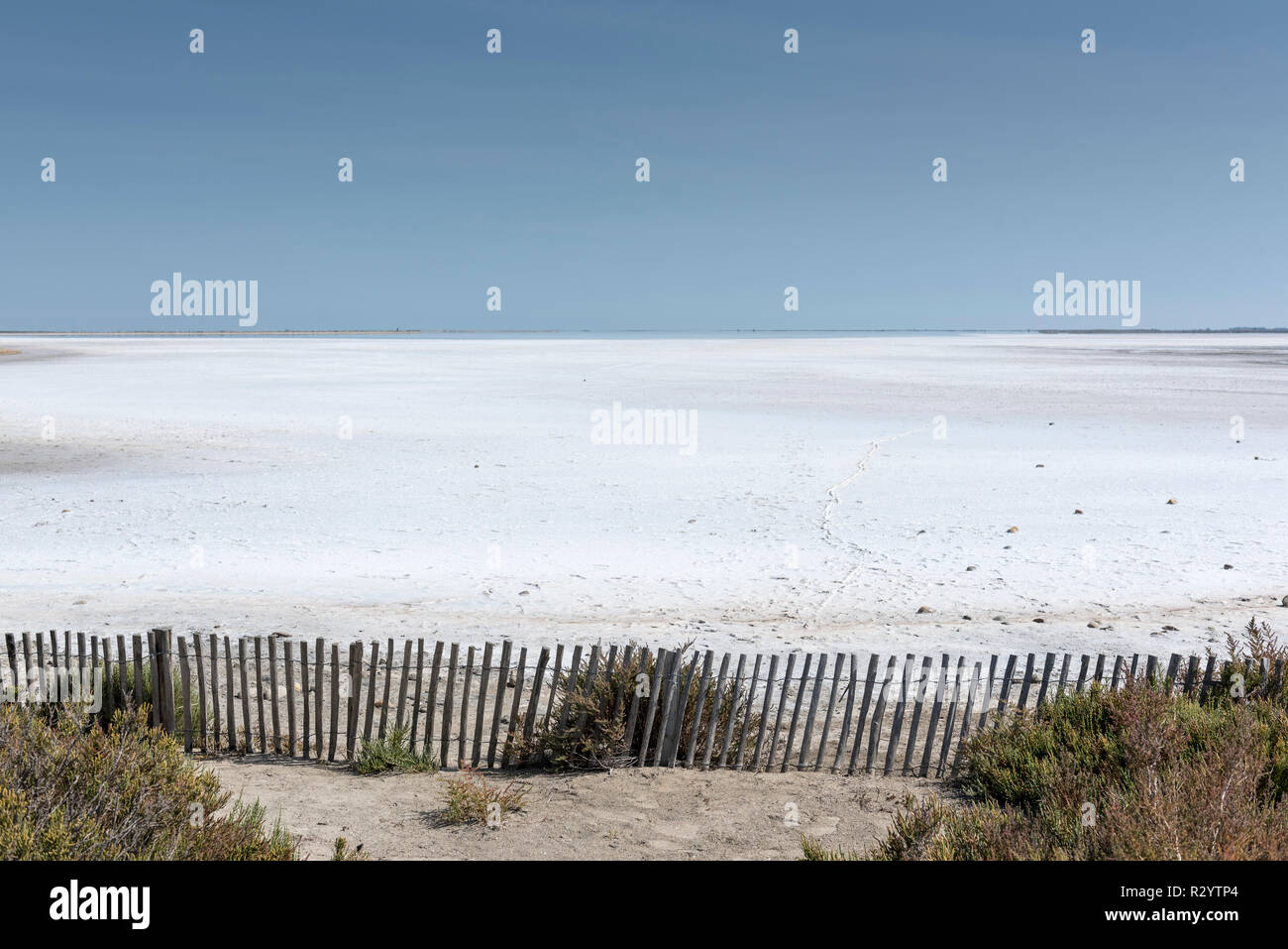 Salty and dry marsh, Camargue, France Stock Photo - Alamy