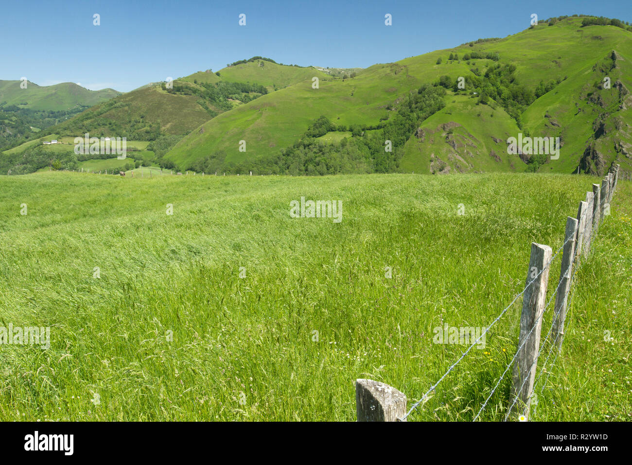 Larrau High Resolution Stock Photography and Images - Alamy