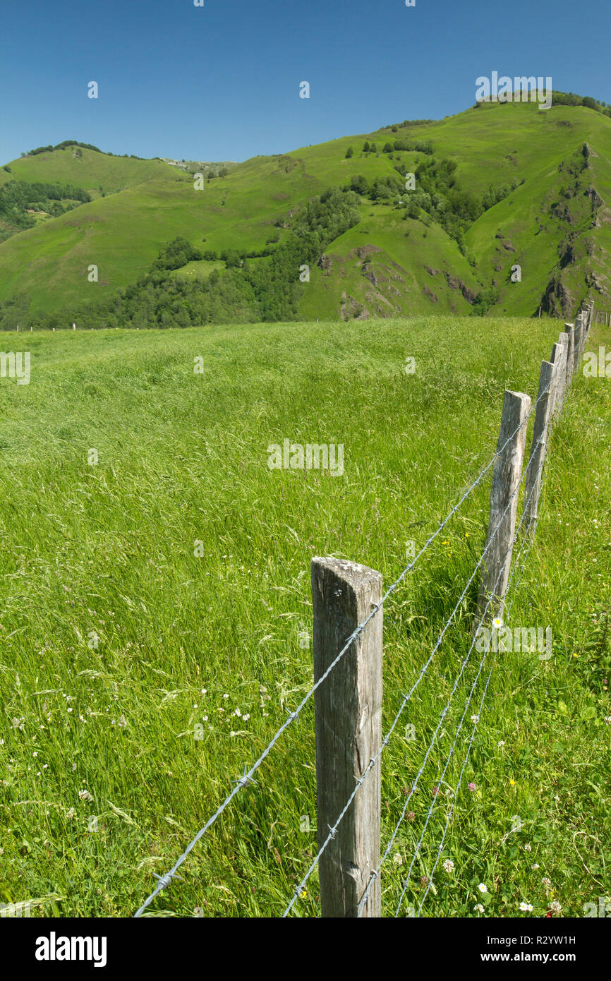 Larrau High Resolution Stock Photography and Images - Alamy