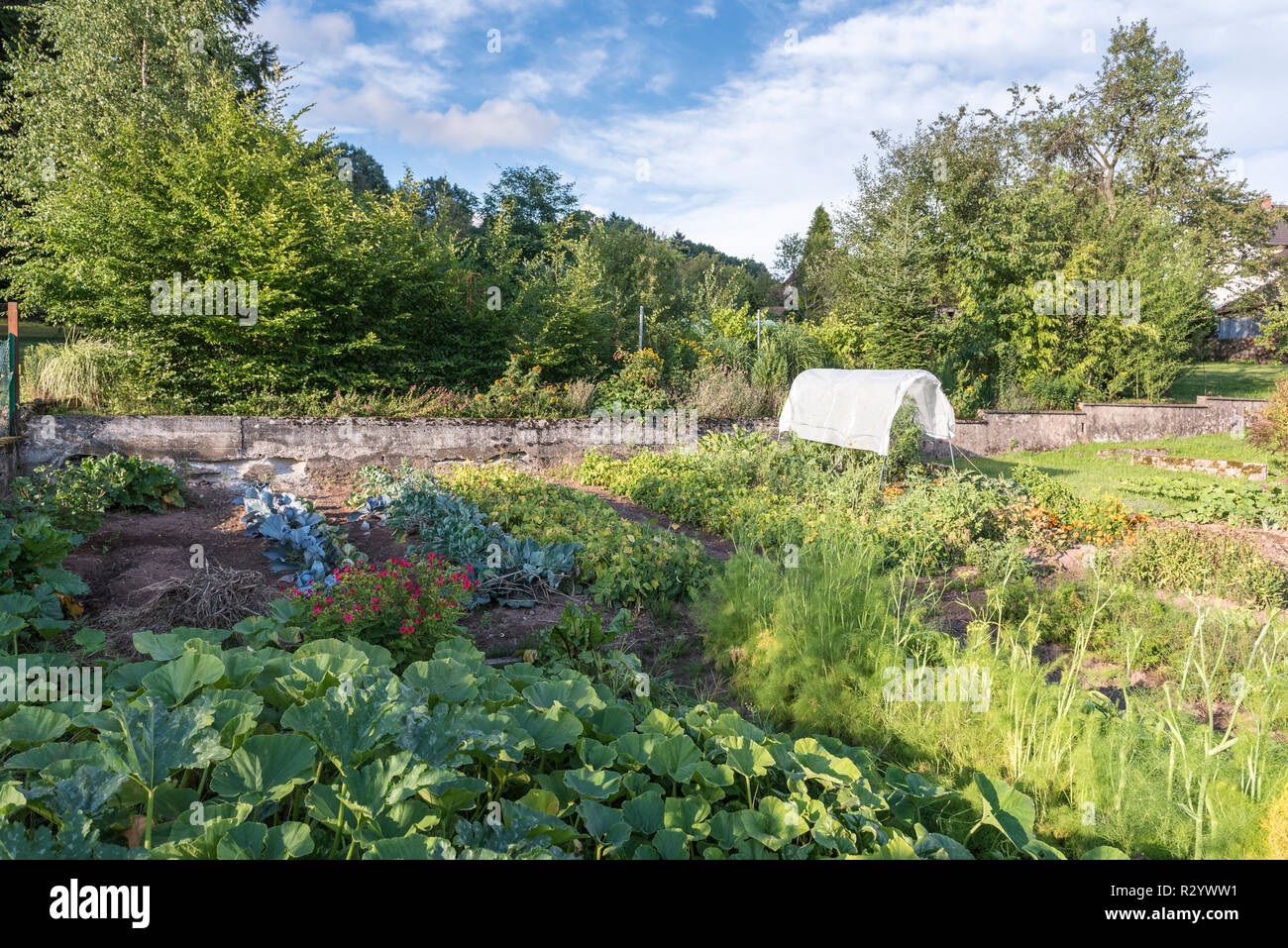 Vegetable Garden In France