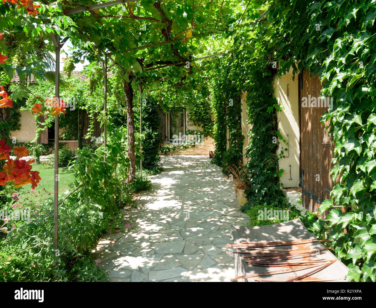 Pergola in summer, Provence, France Stock Photo - Alamy