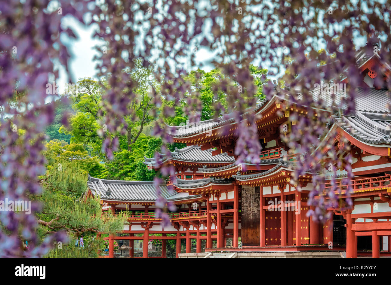 Byodin temple hi-res stock photography and images - Alamy