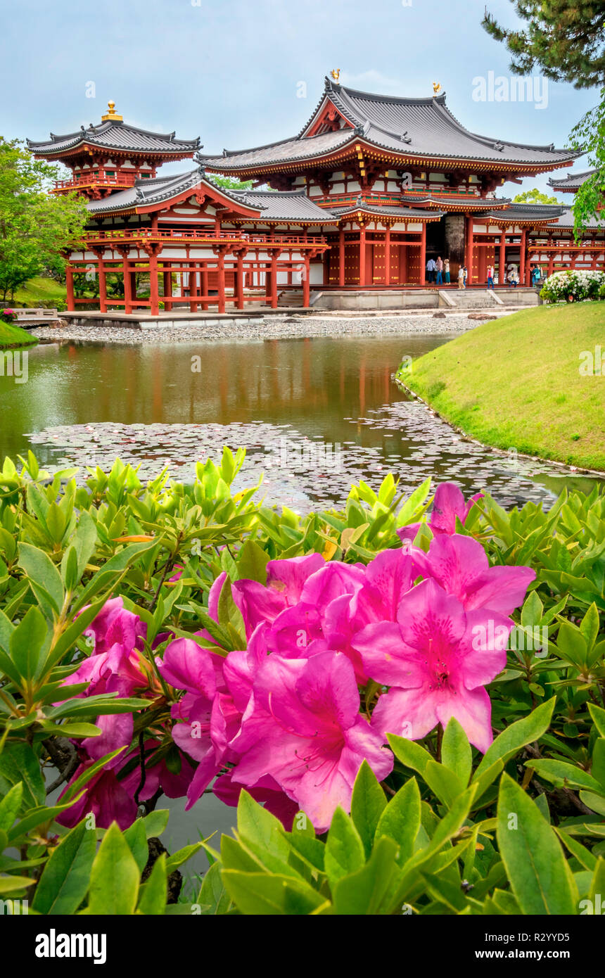 Azalea in Byodoin temple, Kyoto, Japan Stock Photo - Alamy