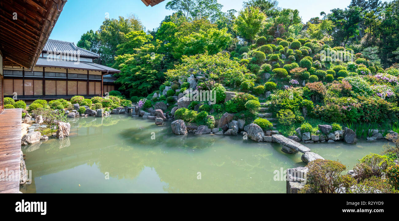 Azalea at Shisen-en temple, Kyoto, Japan Stock Photo - Alamy