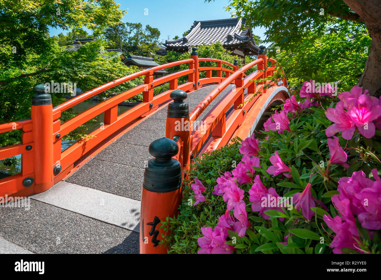 Azalea at Shisen-en temple, Kyoto, Japan Stock Photo - Alamy