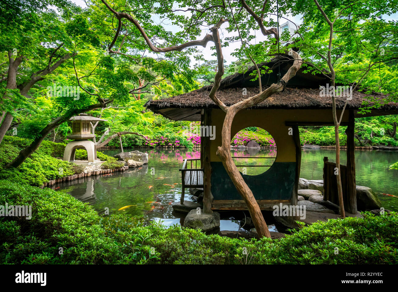 Happoen japanese's garden, tea house and azalea in fulll blum Tokyo ...