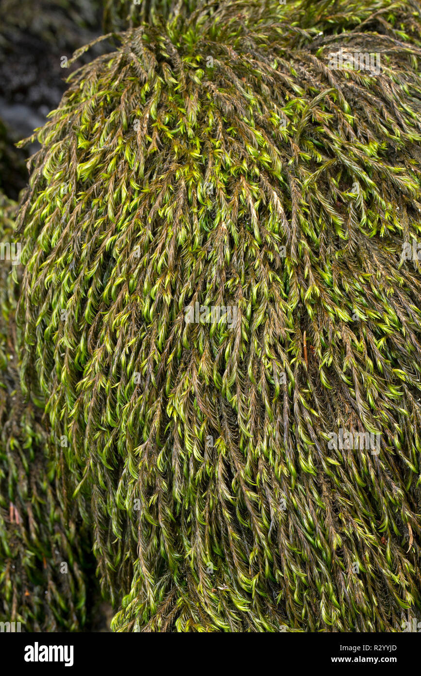 25 sources hi-res stock photography and images - Alamy