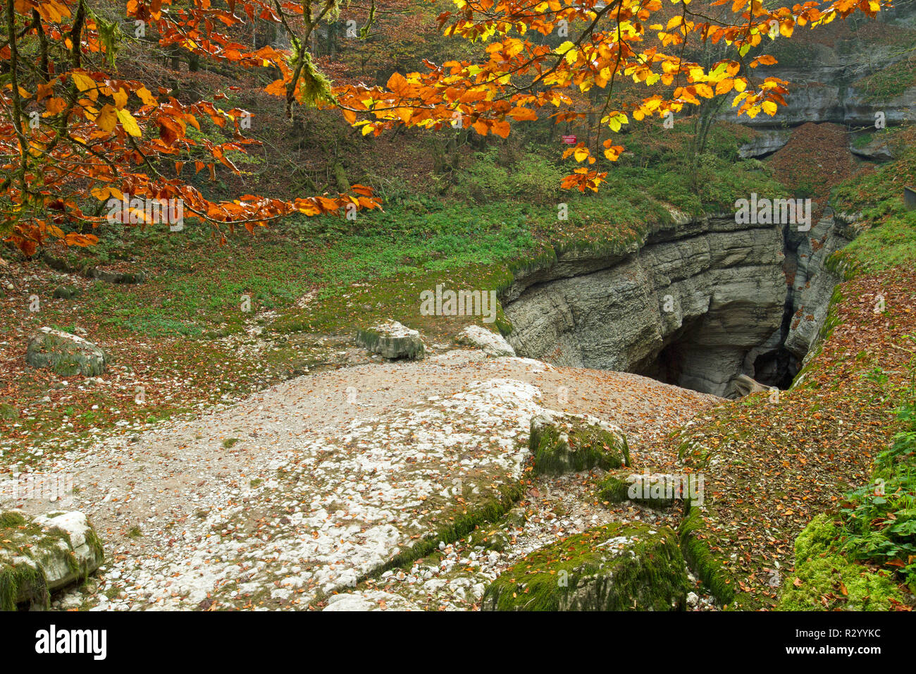 Dry Ain River Source, Conte, Jura, France Stock Photo - Alamy