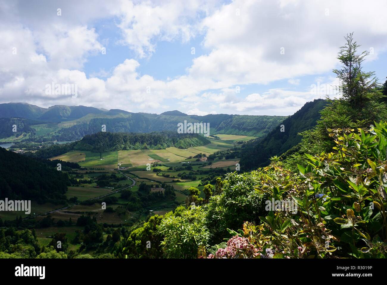 Azores nature hi-res stock photography and images - Alamy