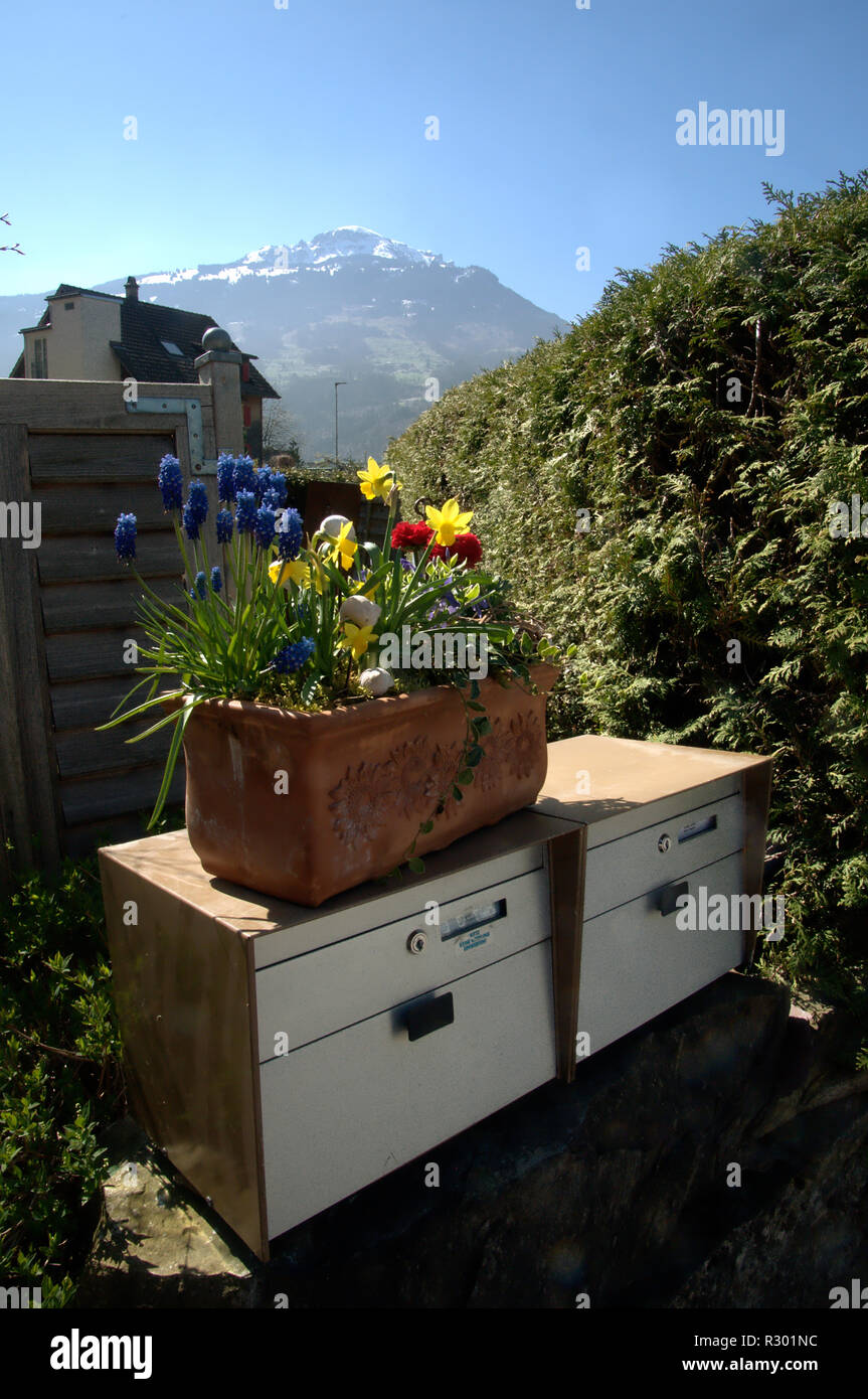 Yellow Post Box Daffodils High Resolution Stock Photography and Images ...