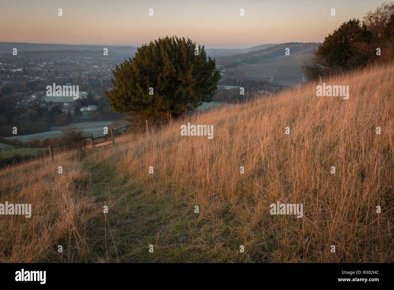 Beautiful surrey countryside hi-res stock photography and images - Alamy