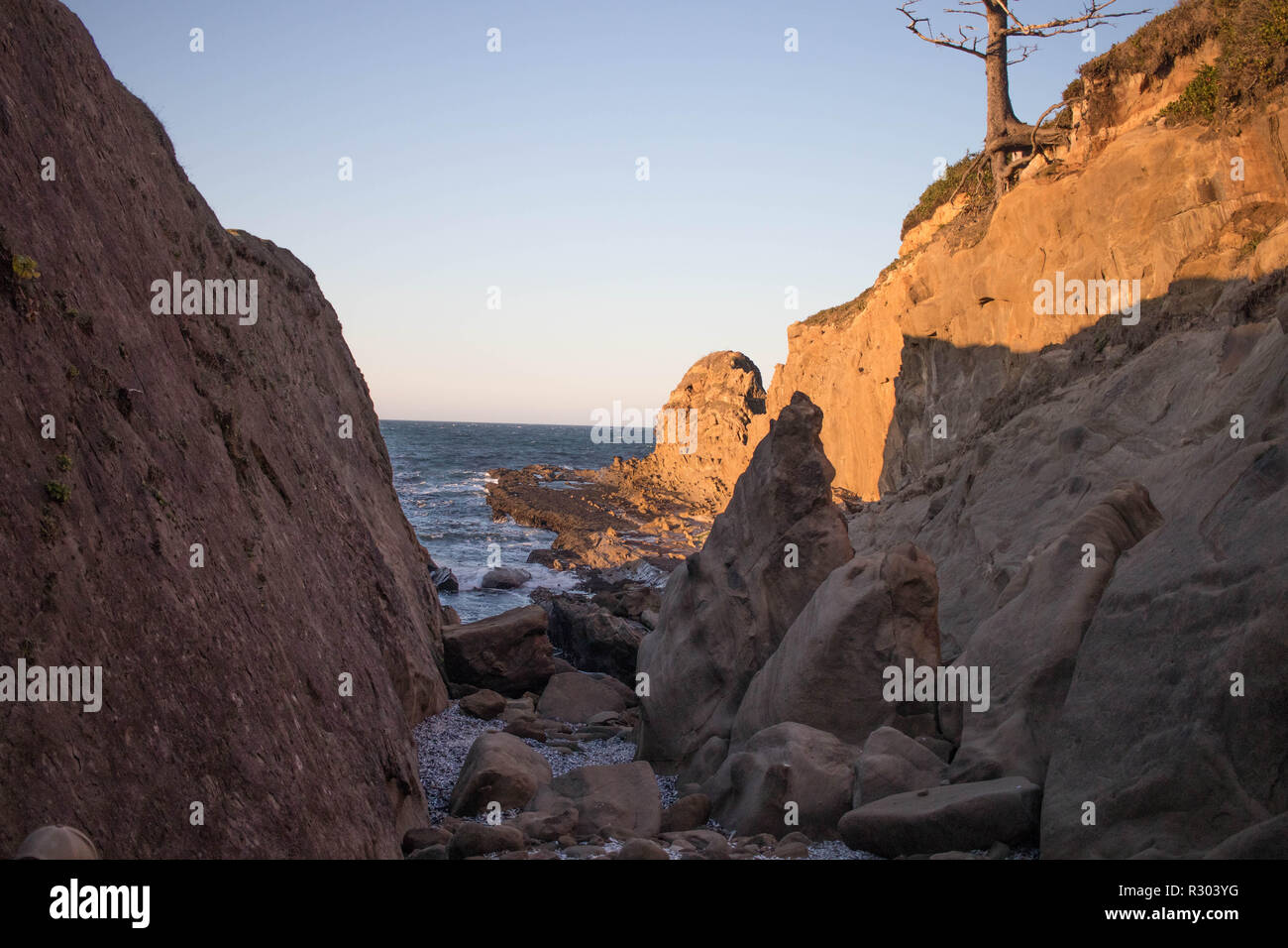 Coos cove hi-res stock photography and images - Alamy