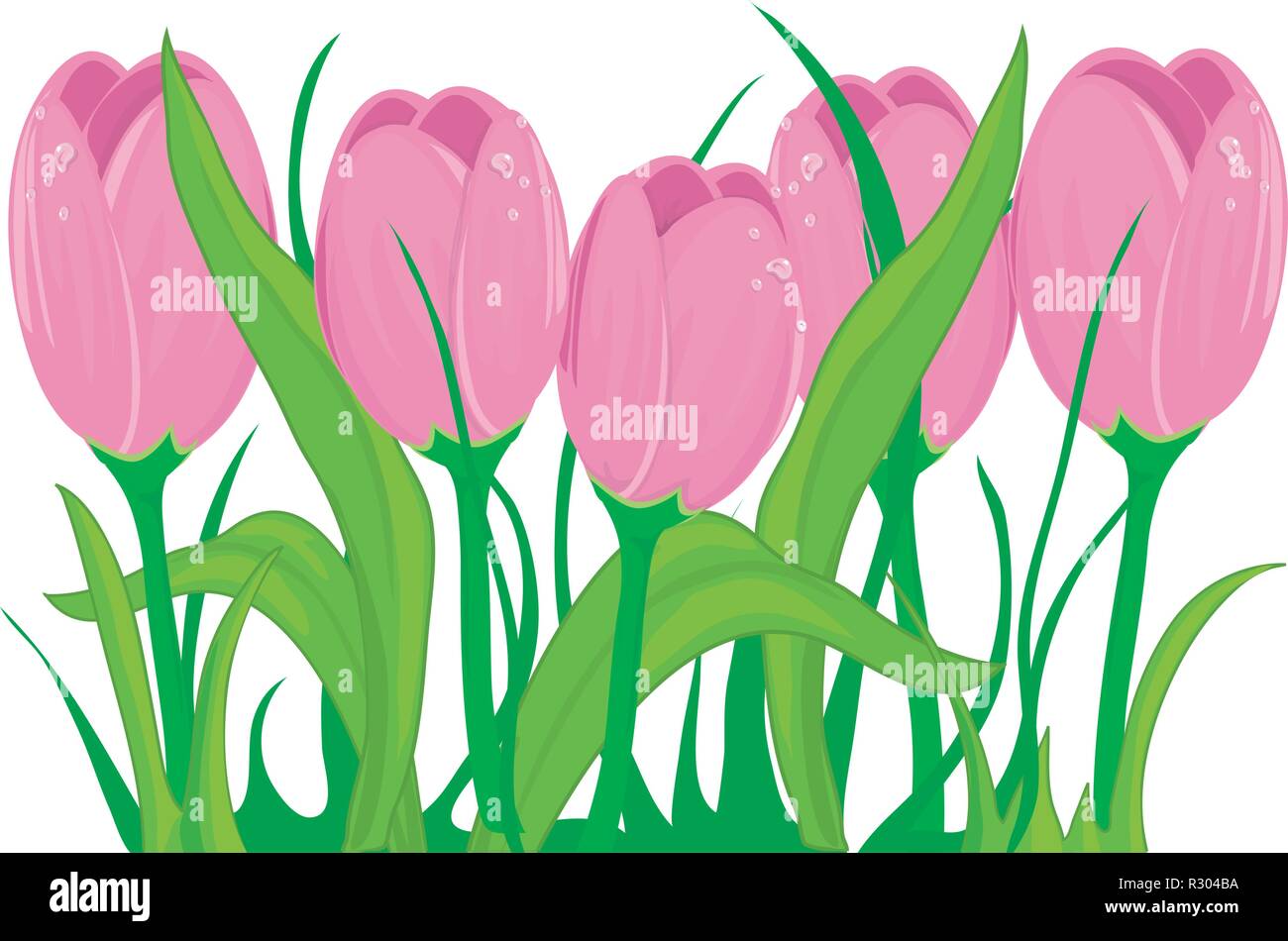 Pink tulips border on Stock Vector Images - Alamy