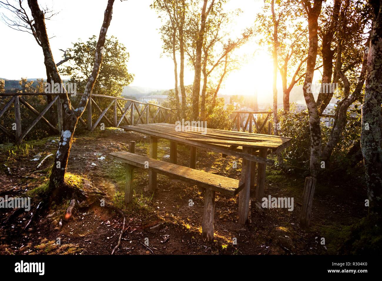 autumn, place to relax in the woods - a wooden table and a bench on the ...