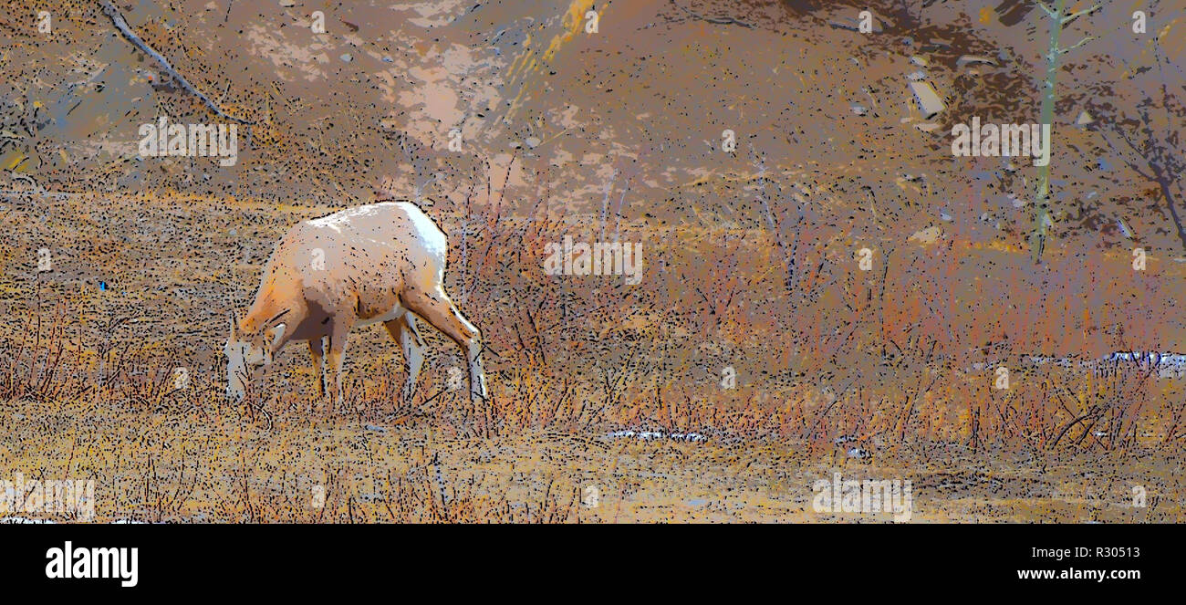 Landscape alberta foothills hi-res stock photography and images - Alamy