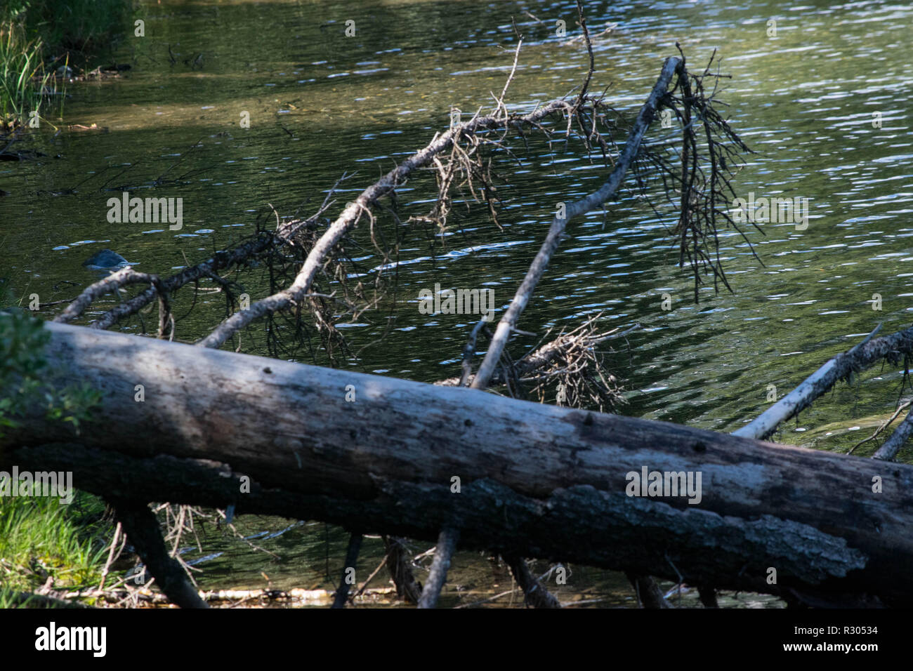 Mt lorette ponds hi-res stock photography and images - Alamy