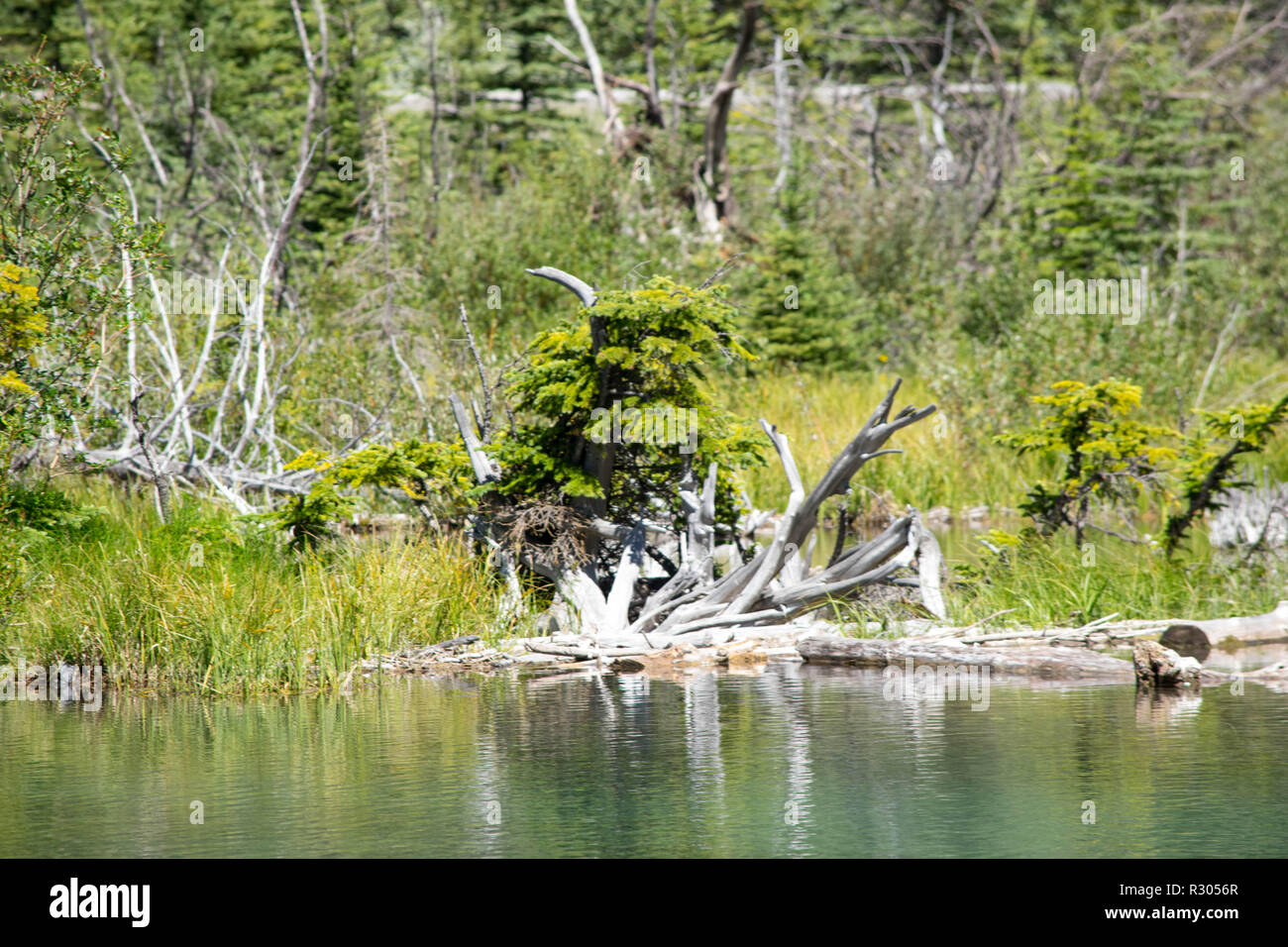 Mt lorette ponds hi-res stock photography and images - Alamy