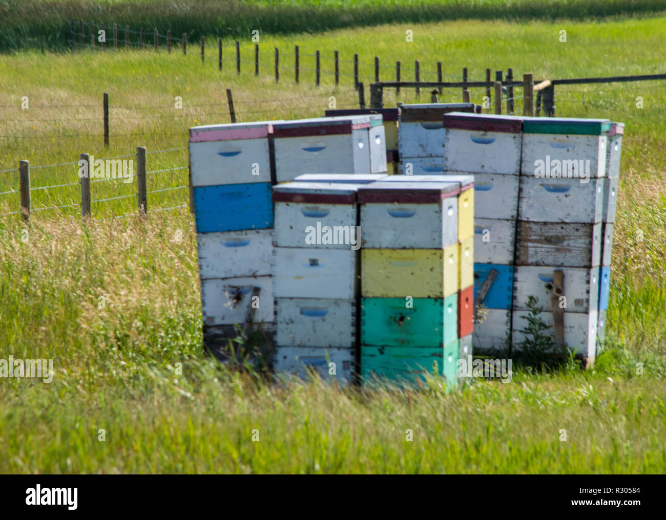 Bee hives and lake hi-res stock photography and images - Alamy