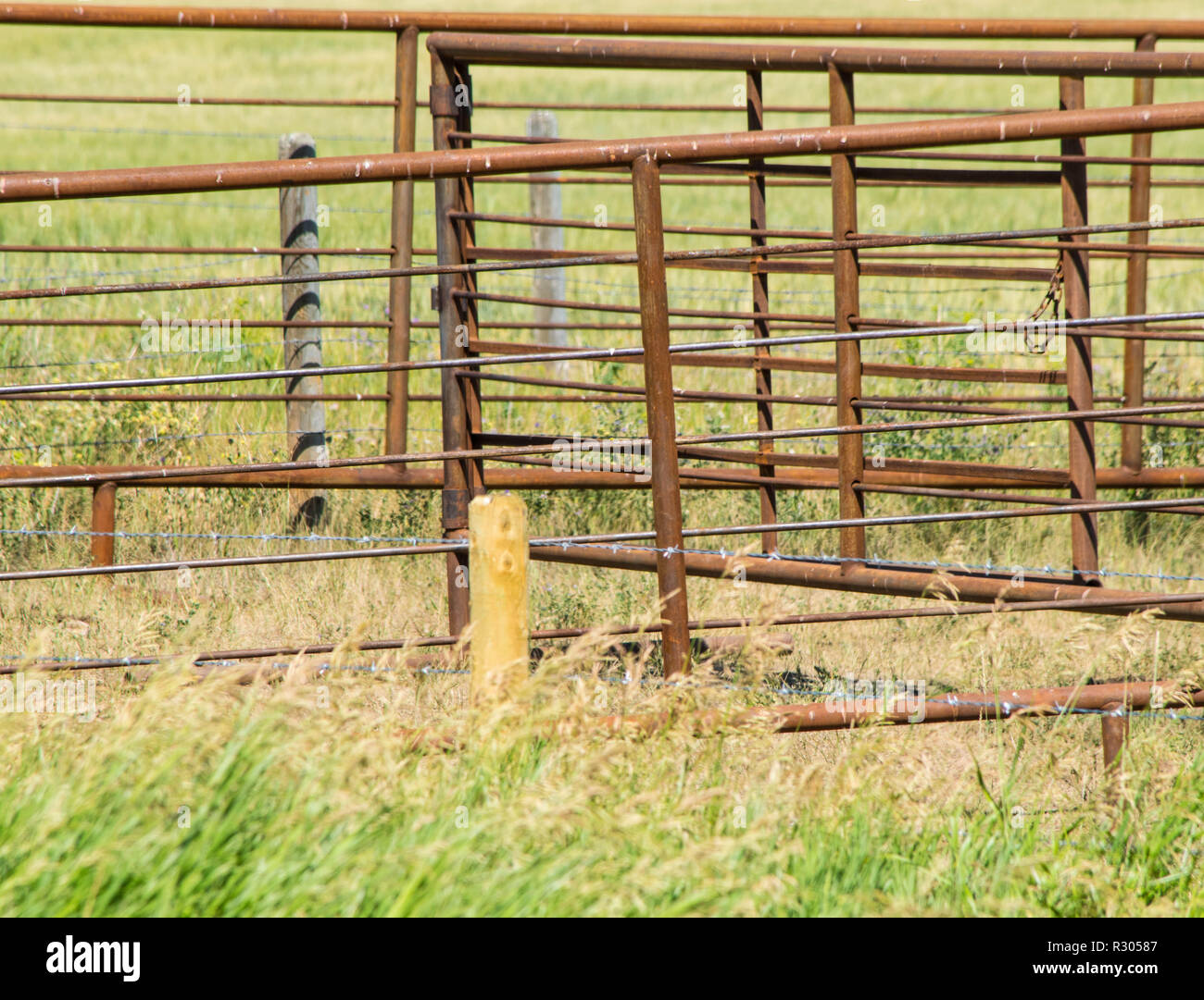 Prairie scene hi-res stock photography and images - Alamy