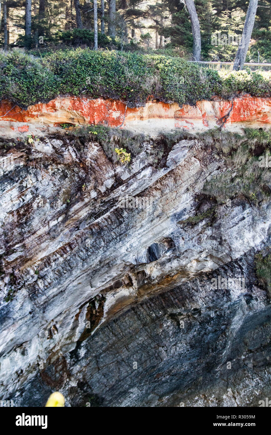 A vertical rock cliff face is topped with a burst of color as sandy ...