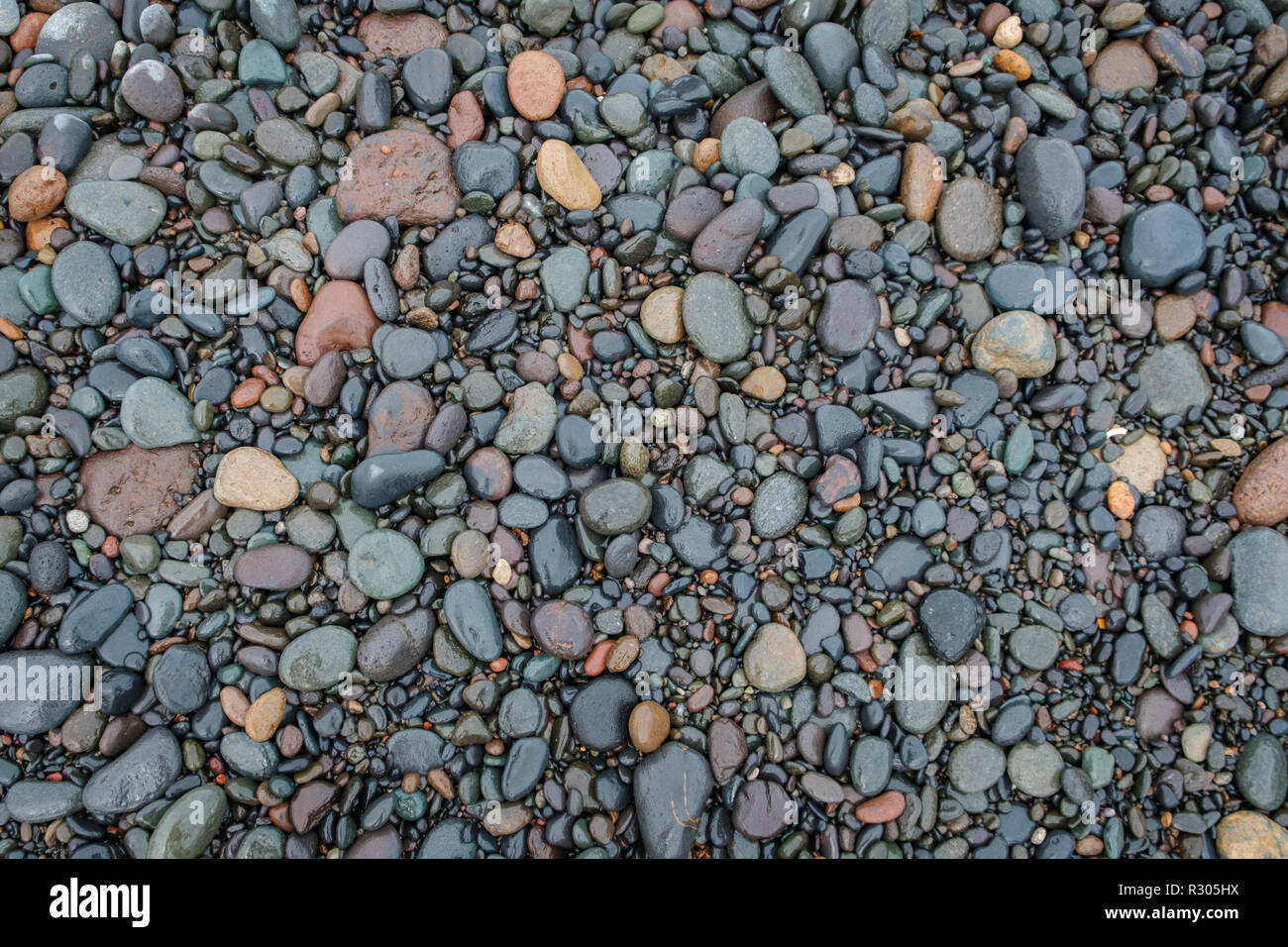 pebble stone beach - stones at ocean coast Stock Photo - Alamy