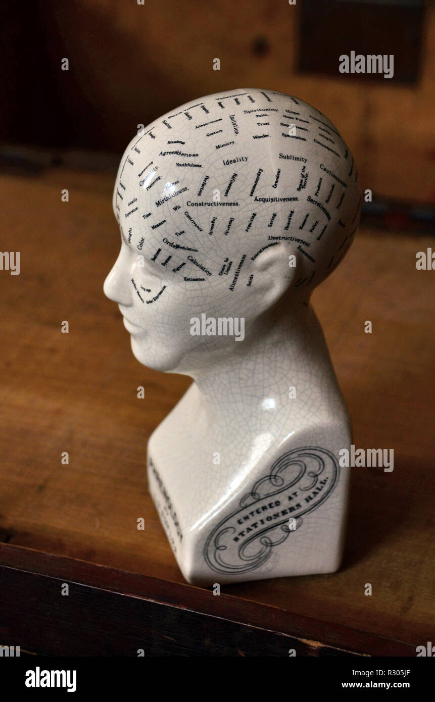 mapped functions of phrenology on human head skull bust sculpture Stock ...
