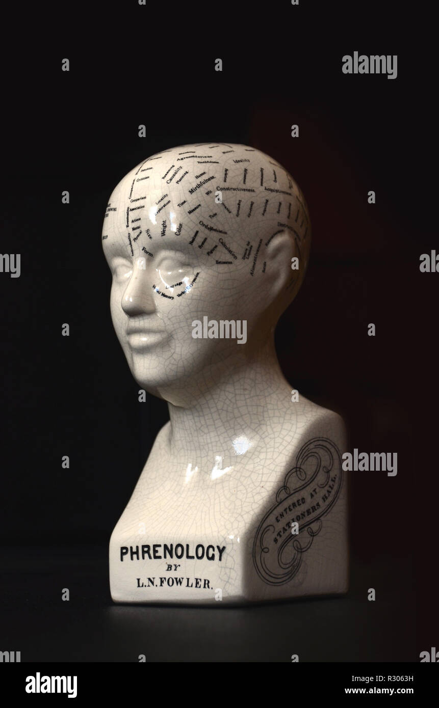 Human head skull hi-res stock photography and images - Alamy