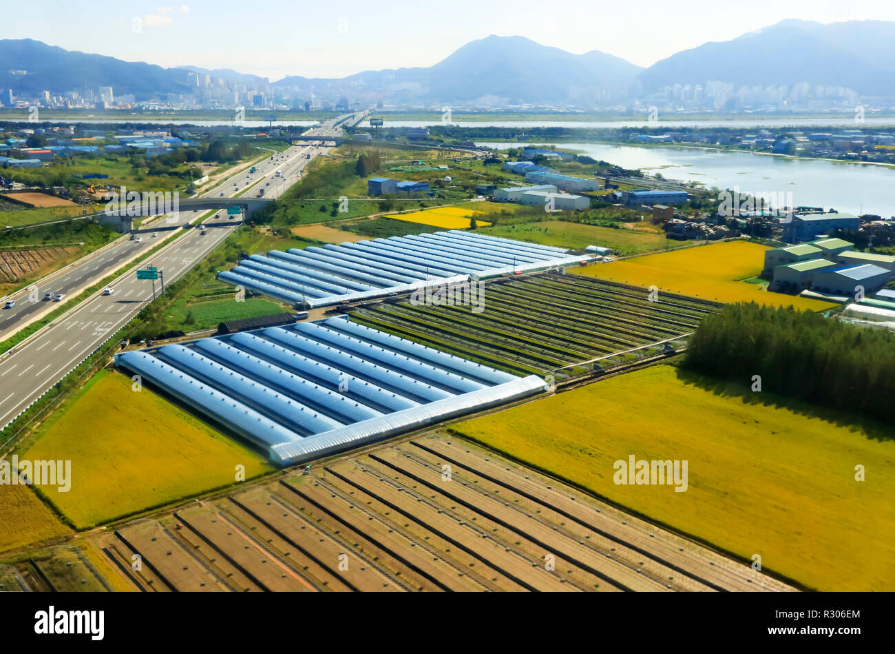 agricultural land along the road,Busan South Korea Stock Photo - Alamy
