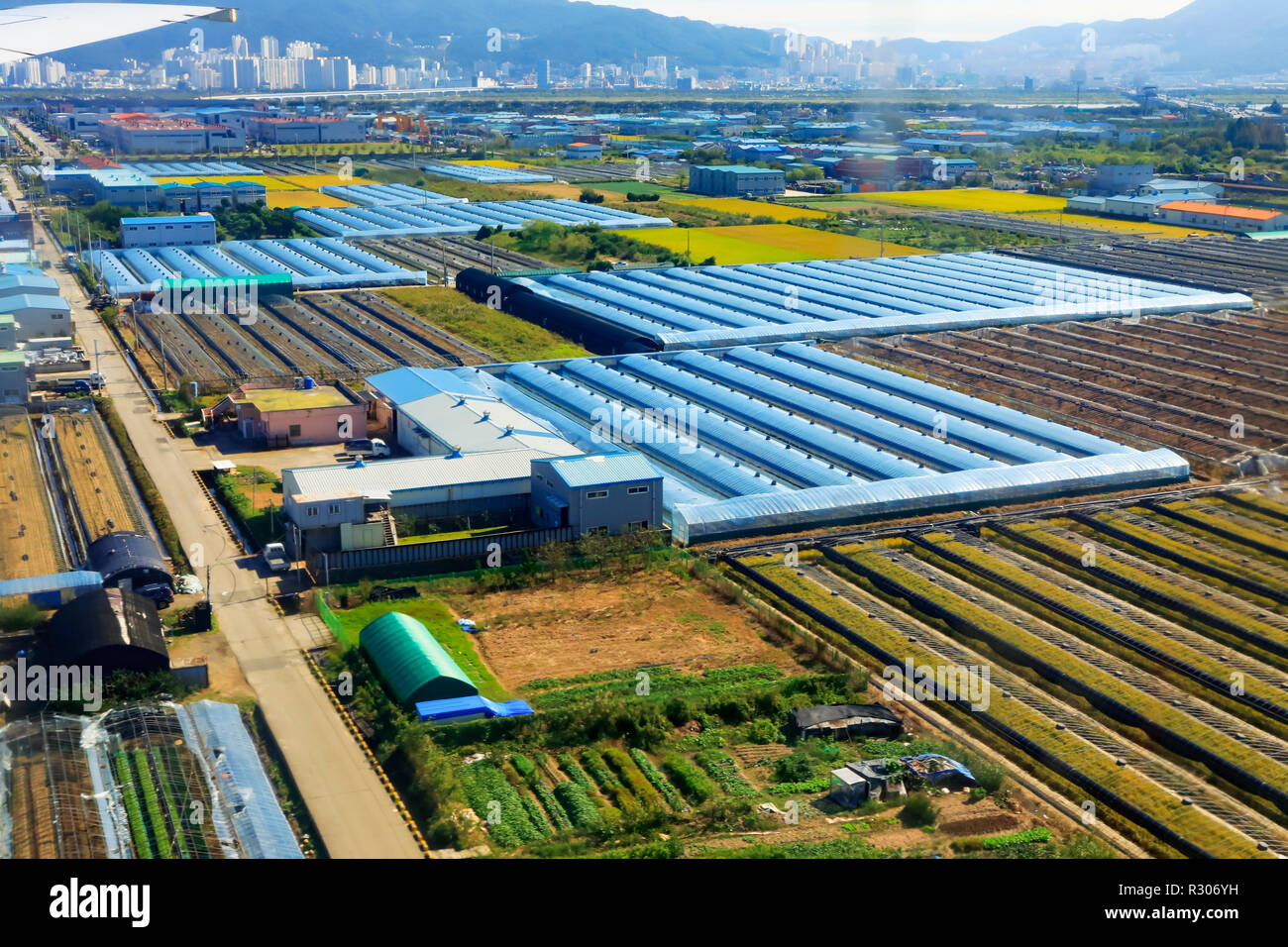 agricultural land along the road,Busan South Korea Stock Photo - Alamy