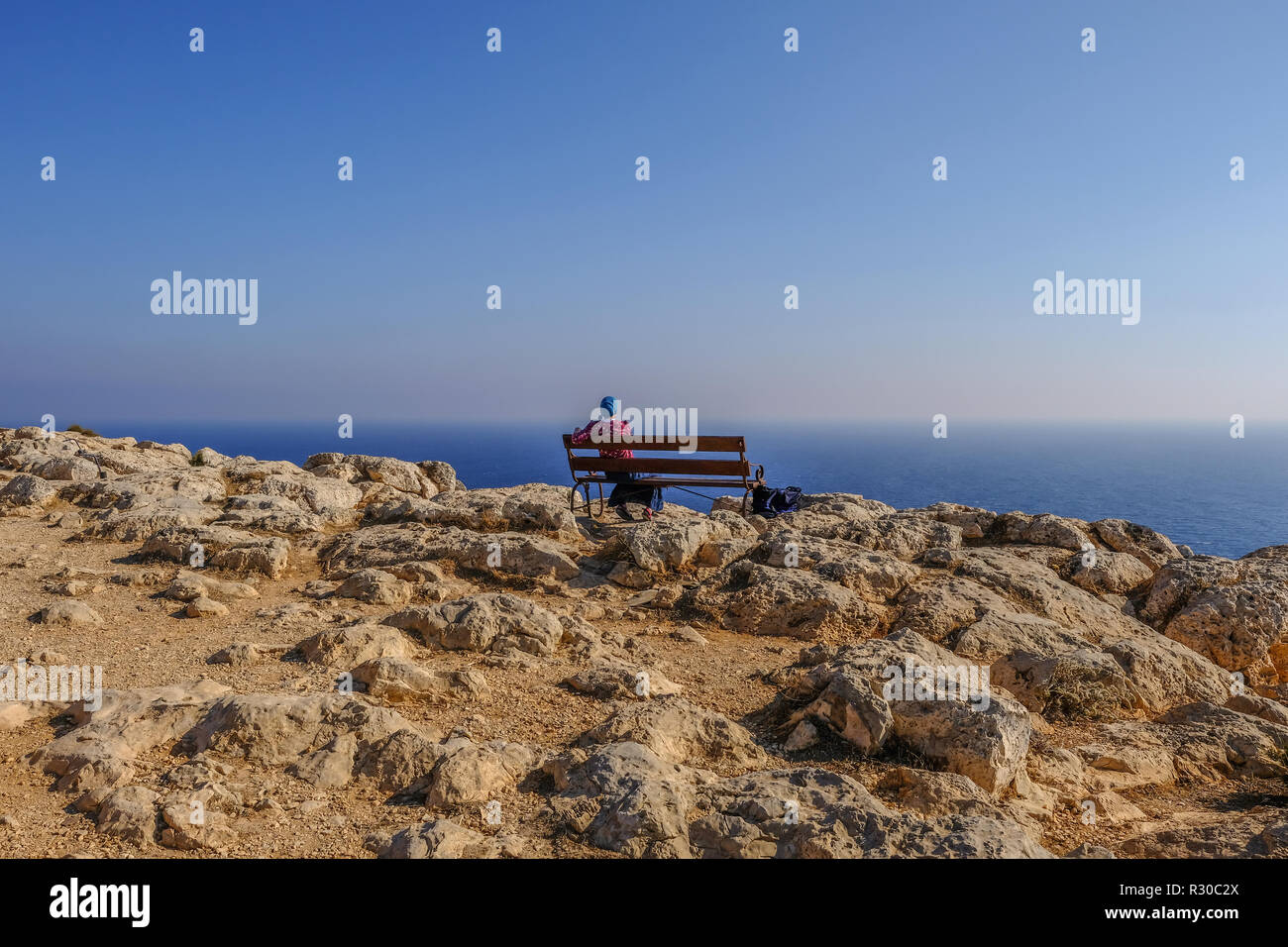 Rear view of a young landy sitting quietly on a bench looking out to ...