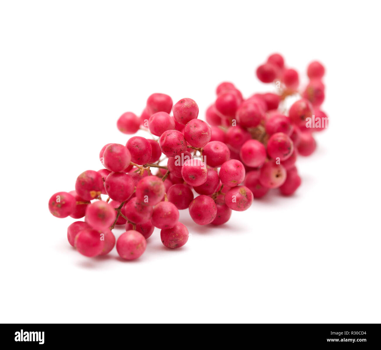 cluster of pink peppercorns, fruit of Peruvian pepper tree Schinus ...