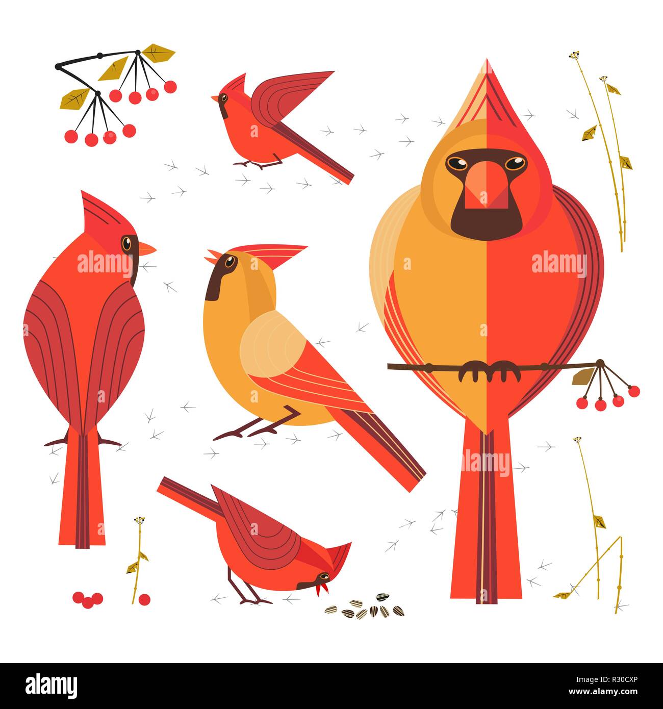 Birdwatching, bird feeding icon set Stock Vector Image & Art - Alamy