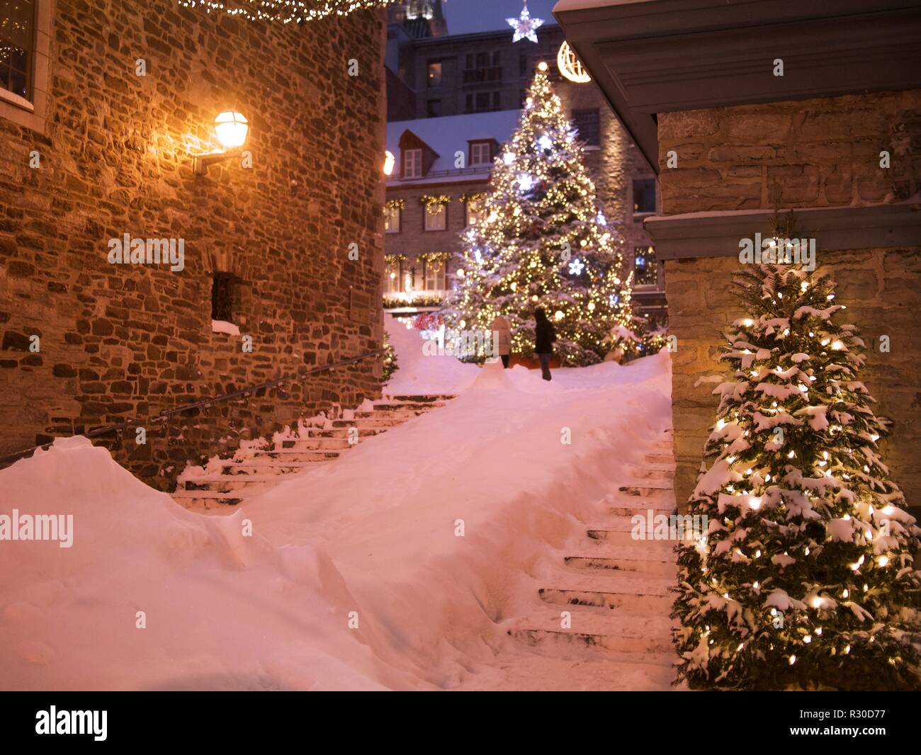 Snowstorm ground hi-res stock photography and images - Alamy