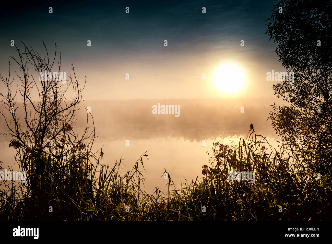 Dramatic mystical twilight landscape with rising sun, tree, reed and ...