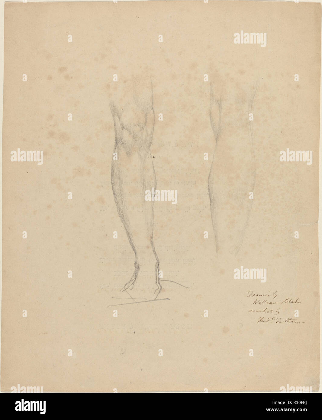 10 7 8 x 8 15 16 hi-res stock photography and images - Alamy