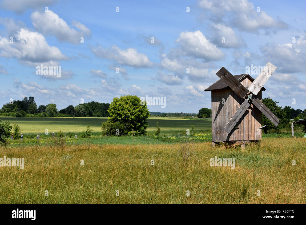 An abandoned wooden windmill in the vast green field near the forest ...