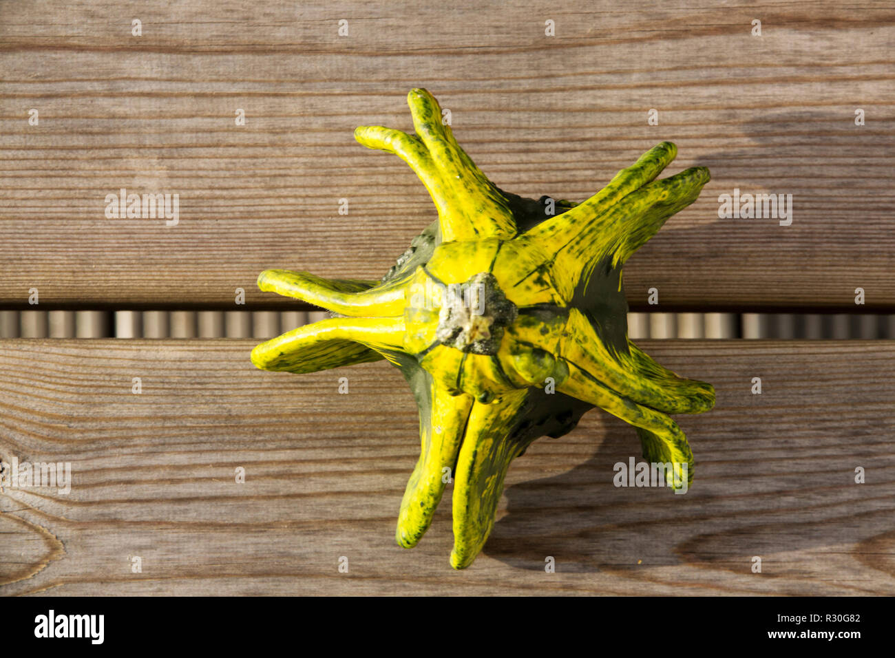 A bizarre shaped gourd Stock Photo - Alamy