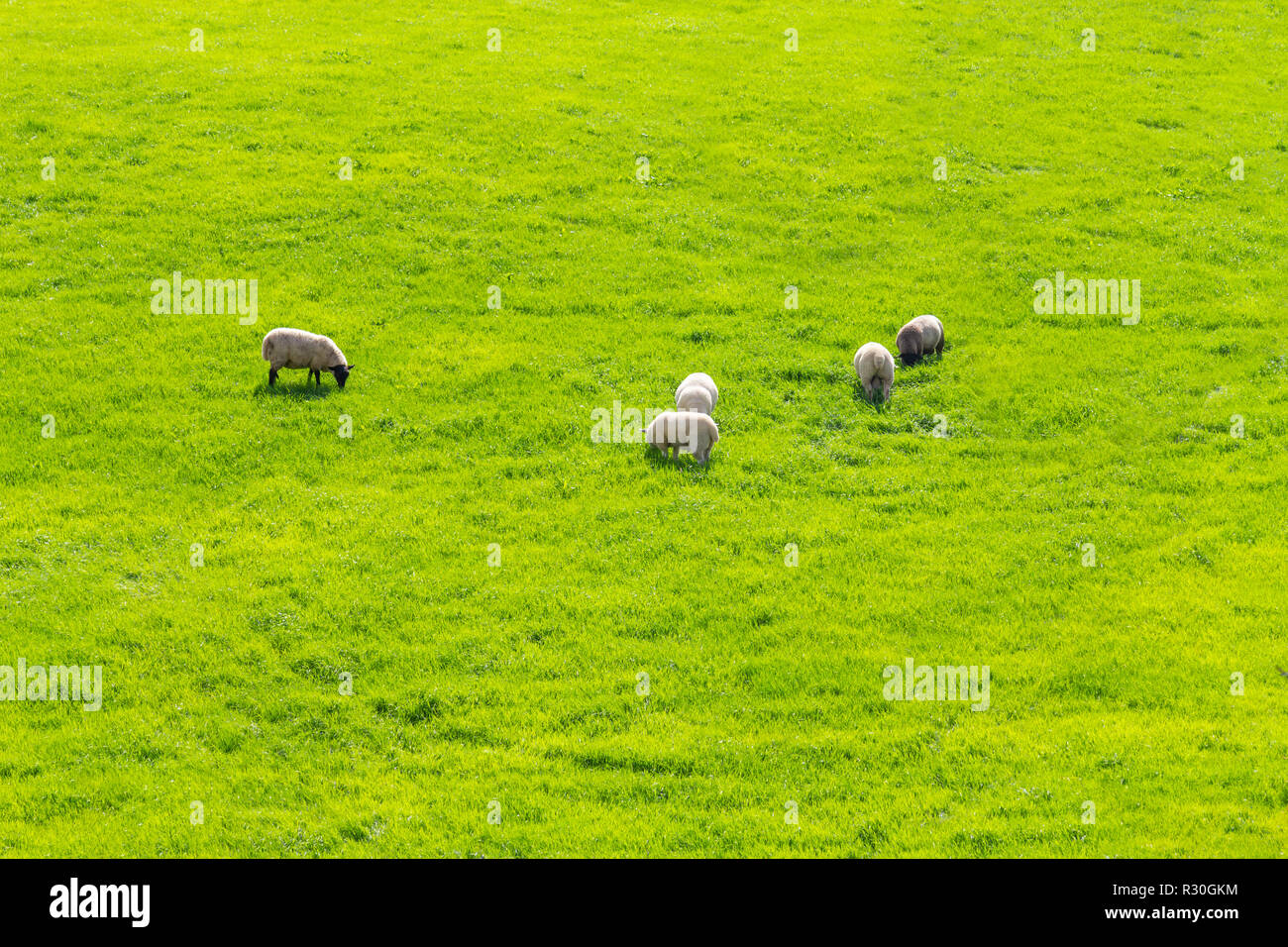 From castlebar hi-res stock photography and images - Alamy