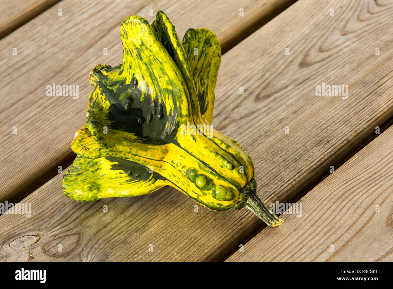 Bizzare pattern hi-res stock photography and images - Alamy