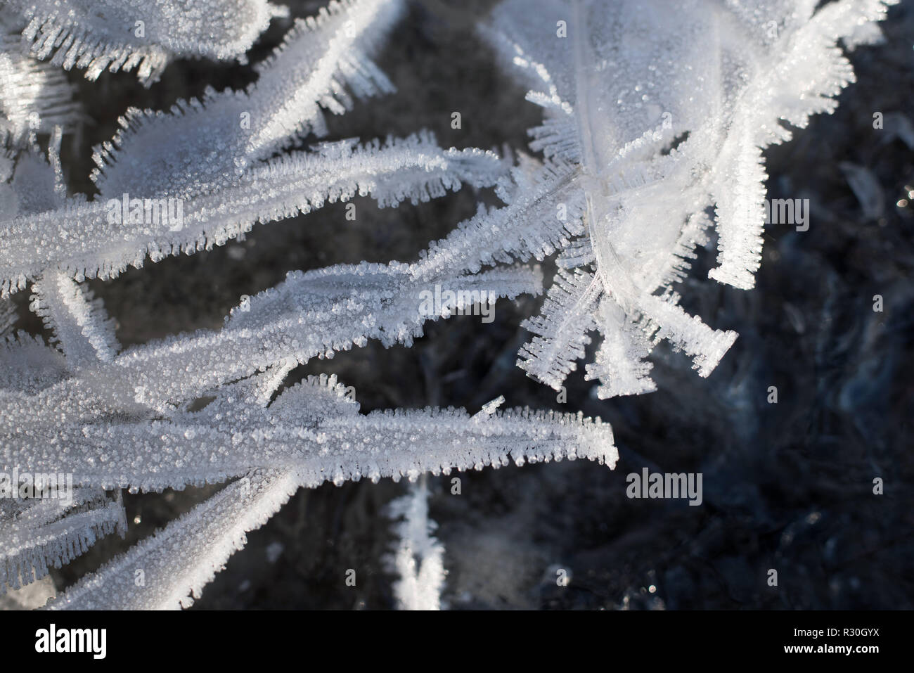 Chrystal snow hi-res stock photography and images - Alamy