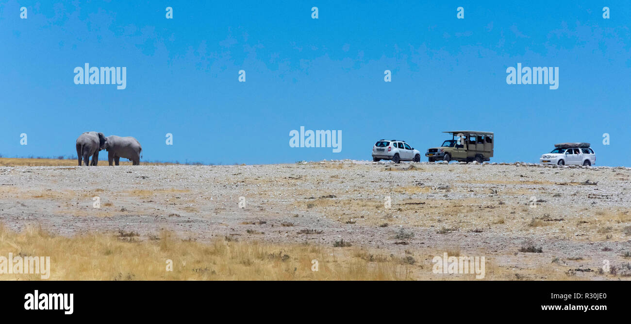 Pan african hi-res stock photography and images - Alamy