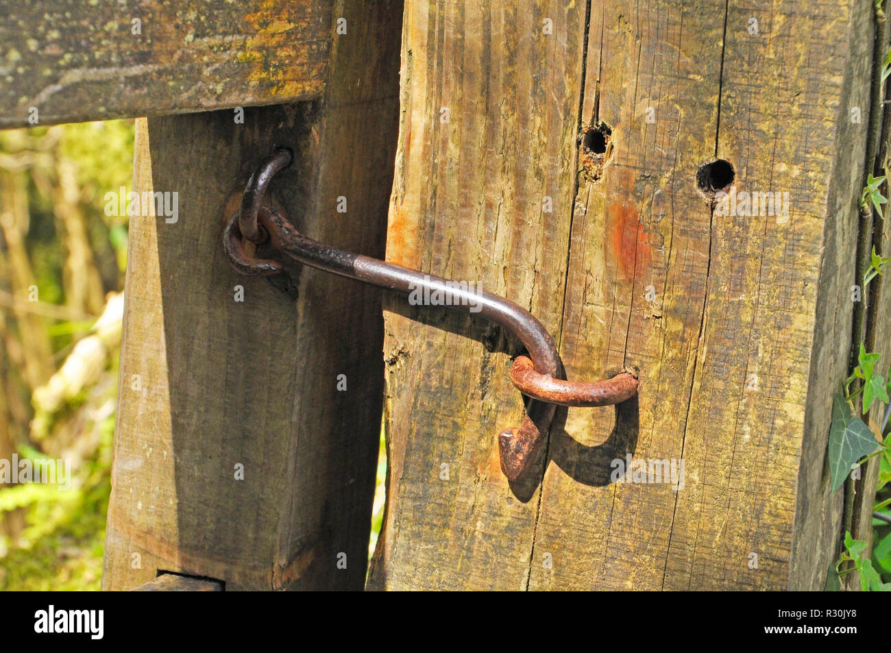 Gate latch hi-res stock photography and images - Alamy
