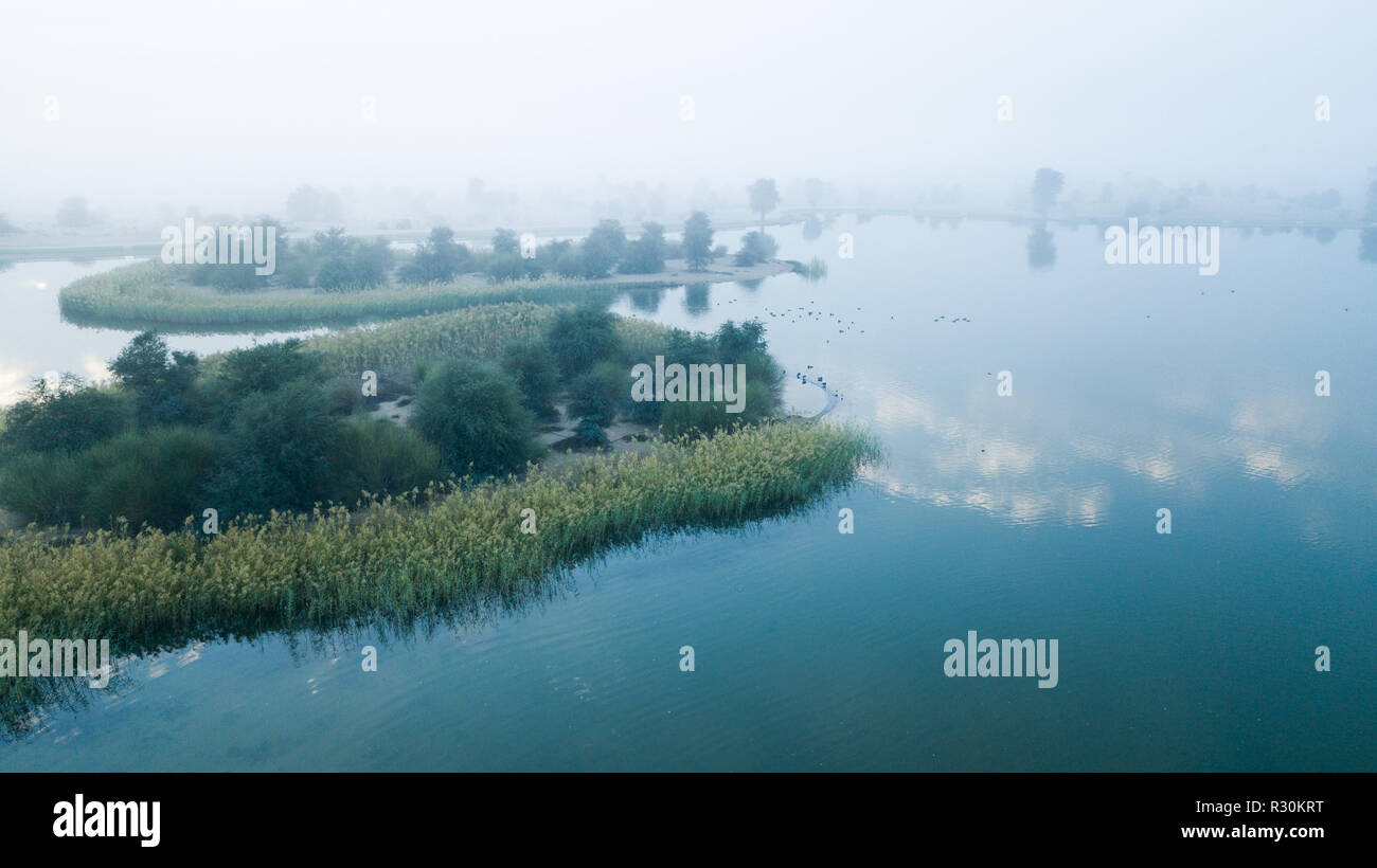 Al qudra lakes al qudra lakes hi-res stock photography and images - Alamy