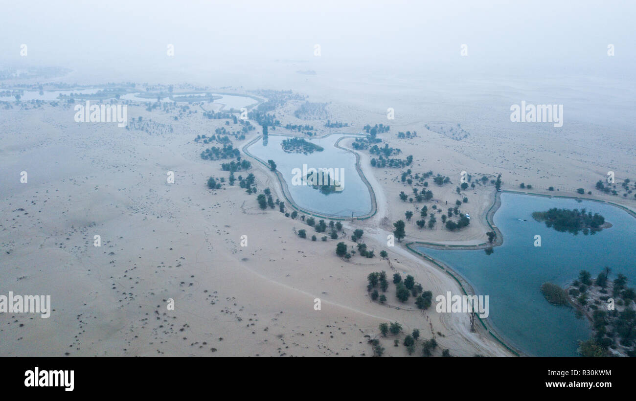 Al qudra lakes in dubai hi-res stock photography and images - Alamy