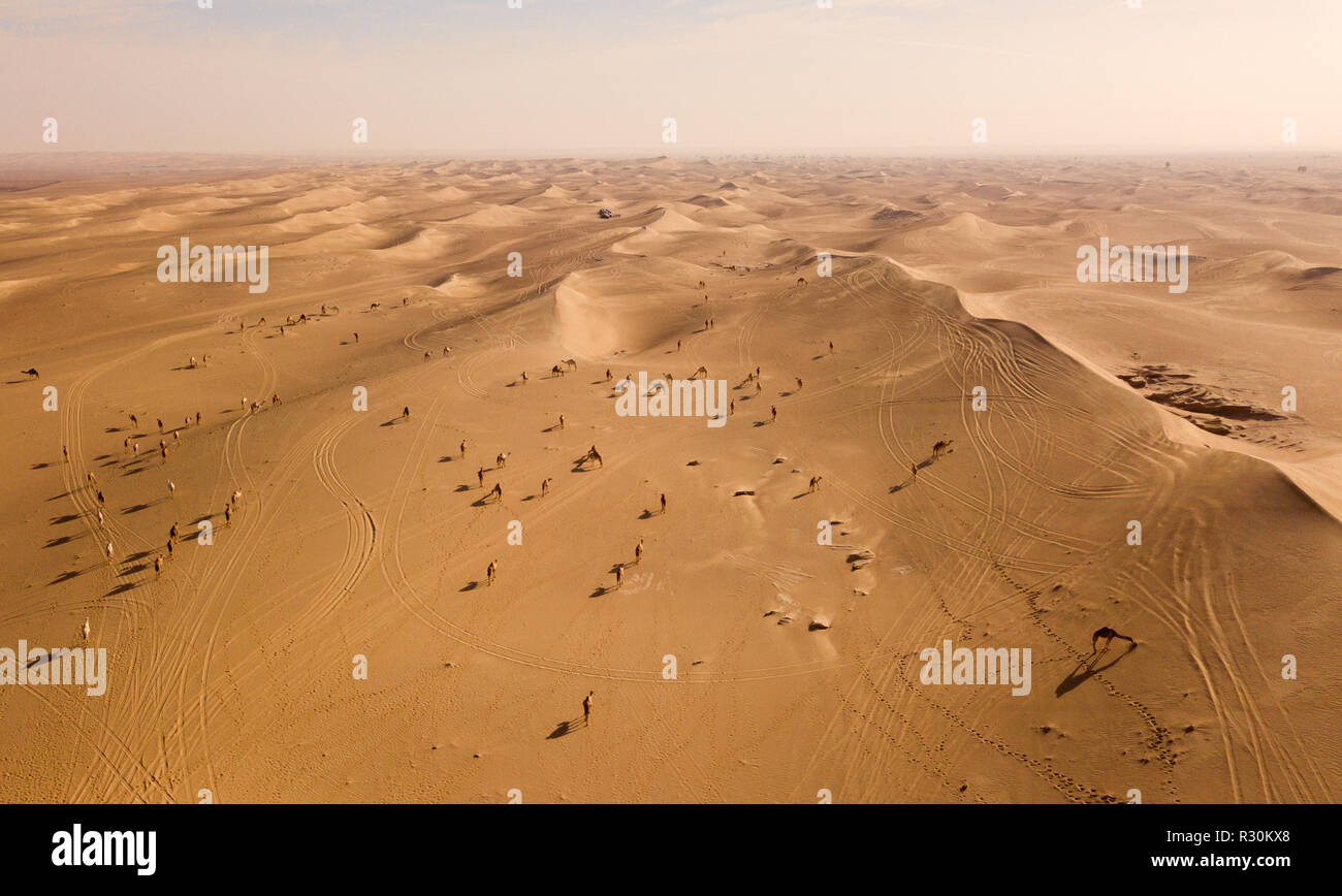 Al Qudra desert in Dubai Stock Photo - Alamy