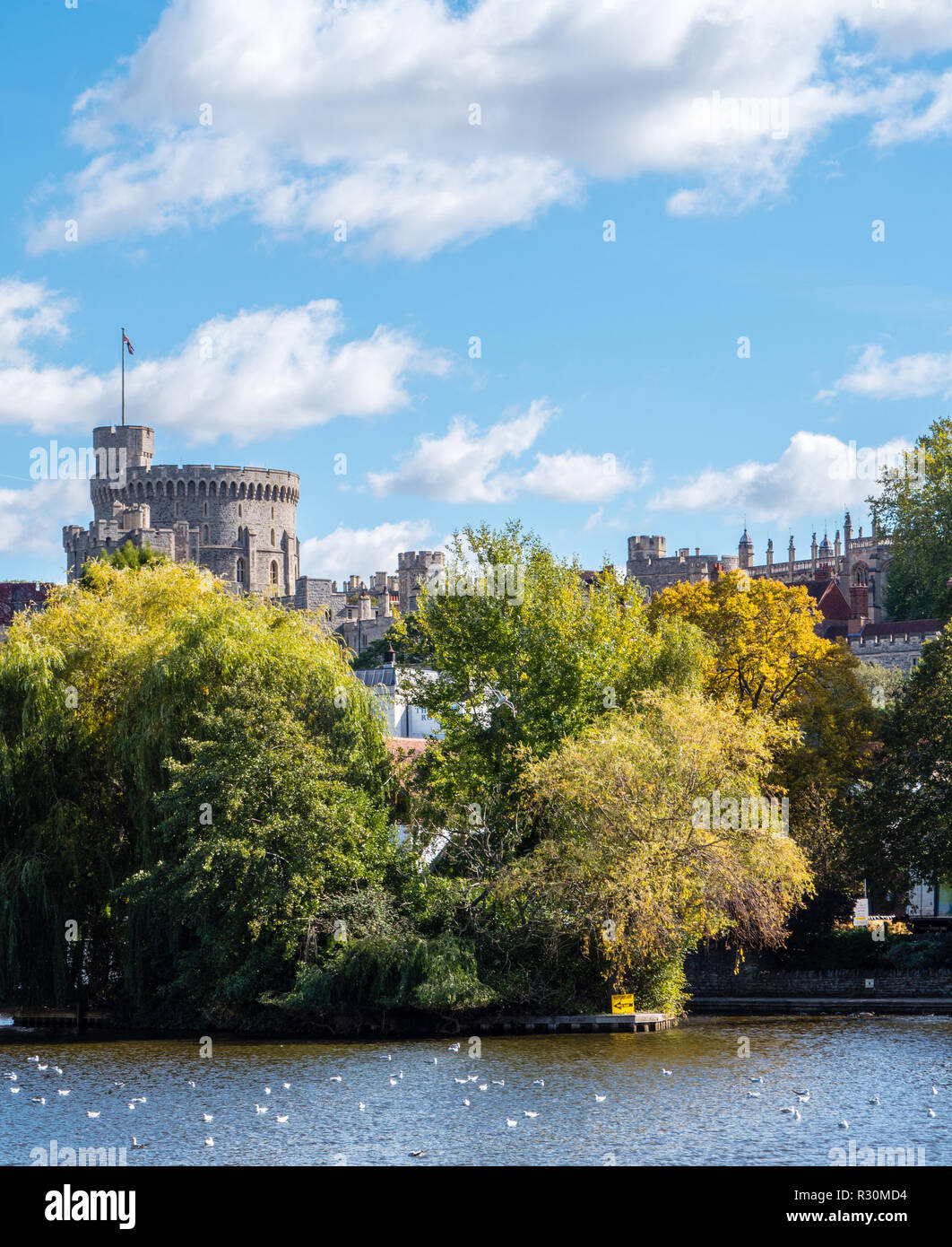 River Thames Windsor High Resolution Stock Photography and Images - Alamy