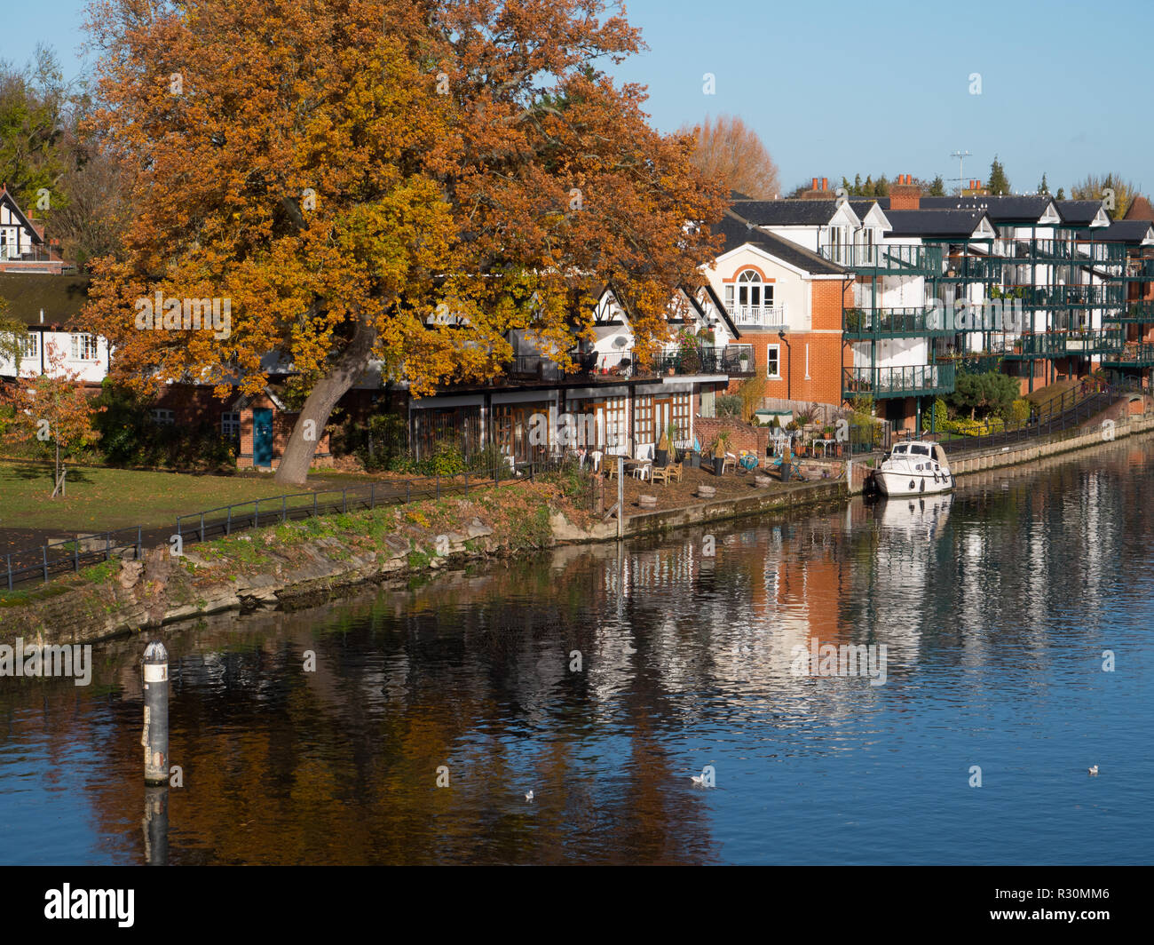 View from Maidenhead Bridge, Maidenhead Riverside, With Autumn Trees ...